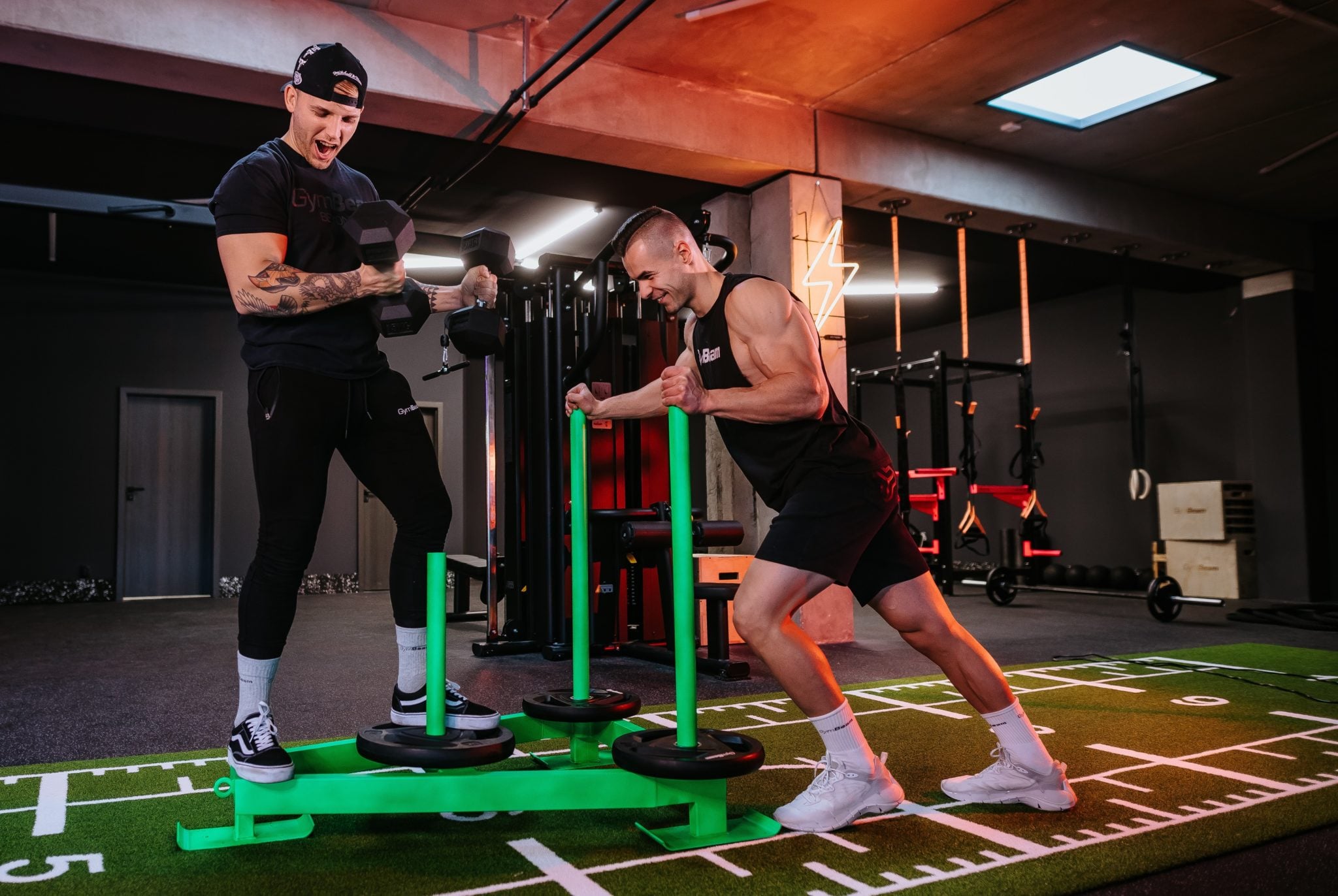 Co je to turkesteron, jak funguje a dokáže opravdu zvýšit hladinu ...